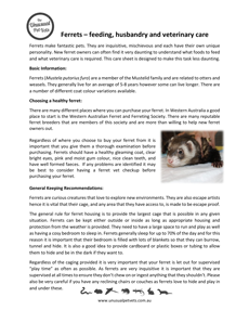Ferret Care Sheets | The Unusual Pet Vets