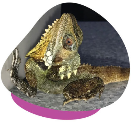 Metabolic Bone Disease: What Are Symptoms, Causes & Treatments?