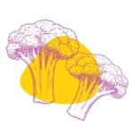 Rat Feeding Guide (What You Can and Can't Feed Your Rat)