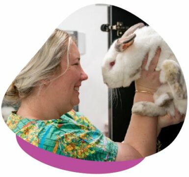 Rabbit Vaccinations and Viruses in Australia - Unusual Pet Vets