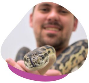 Carpet Pythons Care Sheet: Diet, Behaviour, Size and Enclosure