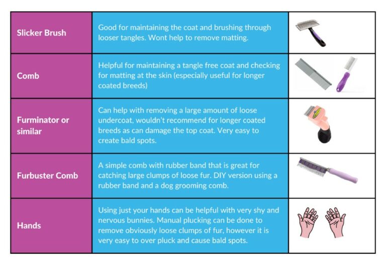 Rabbit Grooming - Brushes, Kits and Nail Clipping: Complete Guide