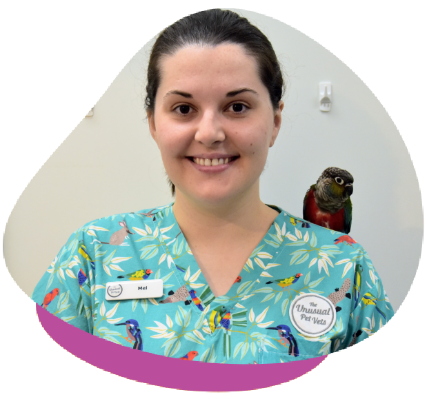 Vet Nurse Mel - Exotic and Emergency Pet Care