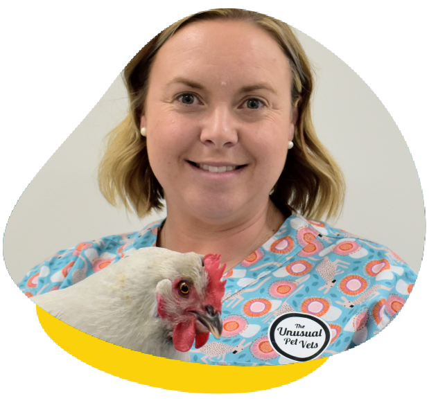 Unusual Pet Vets - Adelaide Clinic
