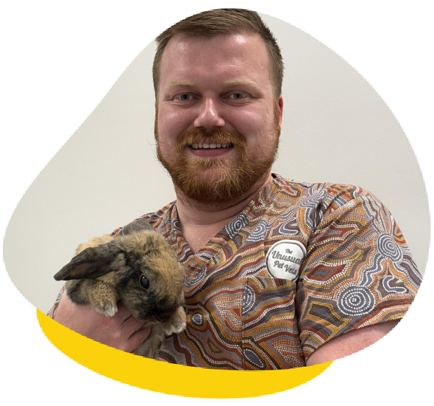 Dr Harry Davis - The Unusual Pet Vets