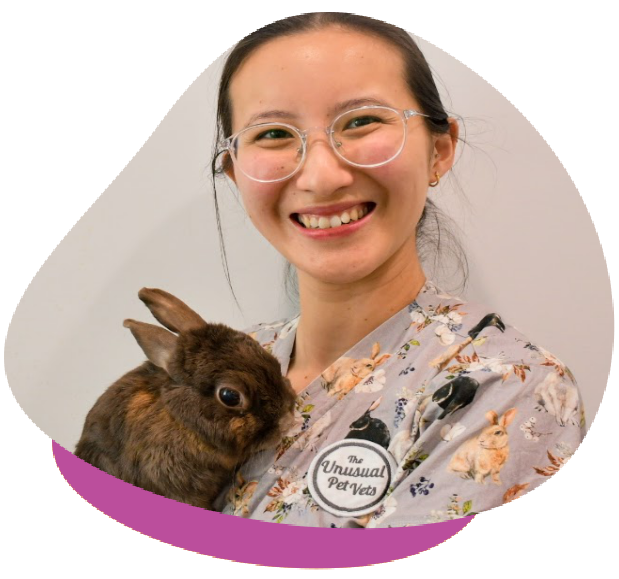 Dr Shelby Chew - Exotic Pet Vet